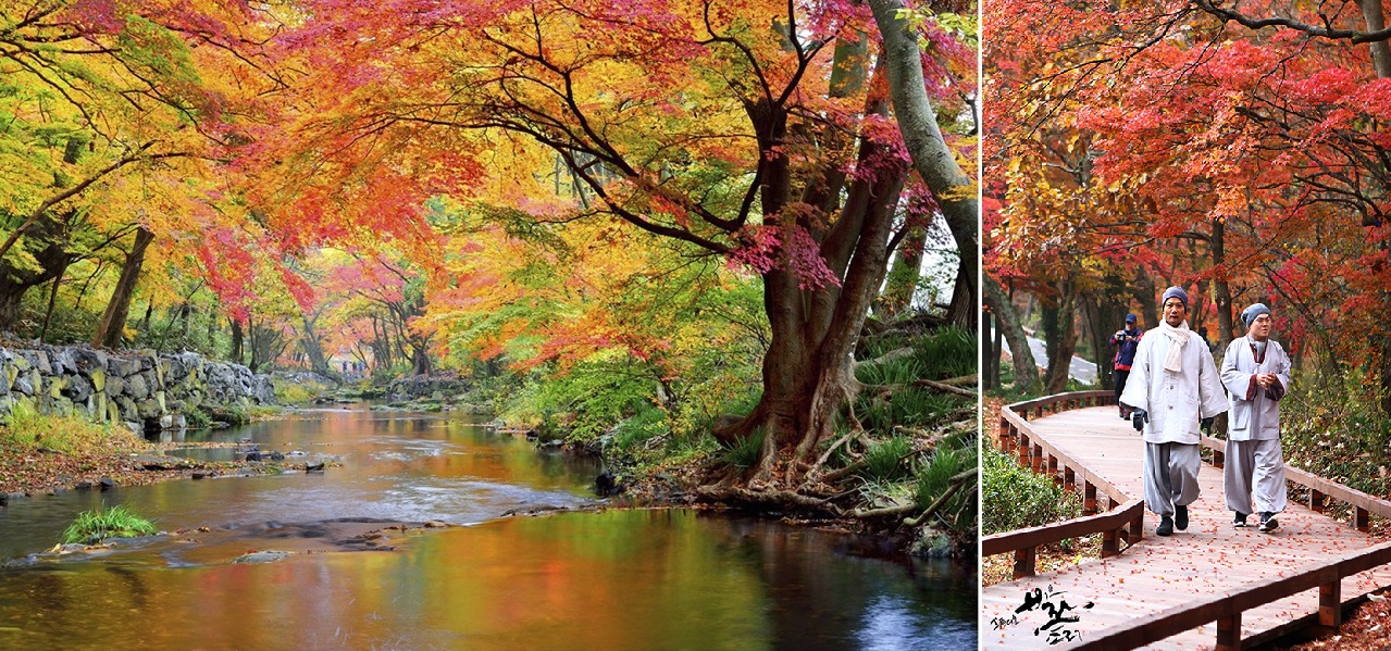 8 Secret Places to see Fall Foliage in Korea l OnedayKorea Blog