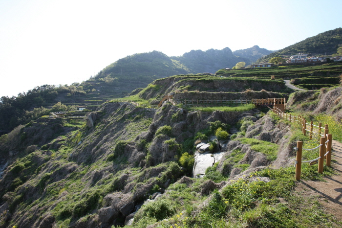 Rice Terraces in Namhae l Oneday Korea Blog